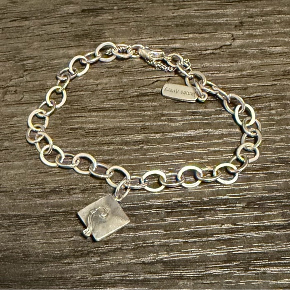 James Avery | Jewelry | James Avery Sterling Silver Double Curb Link ...